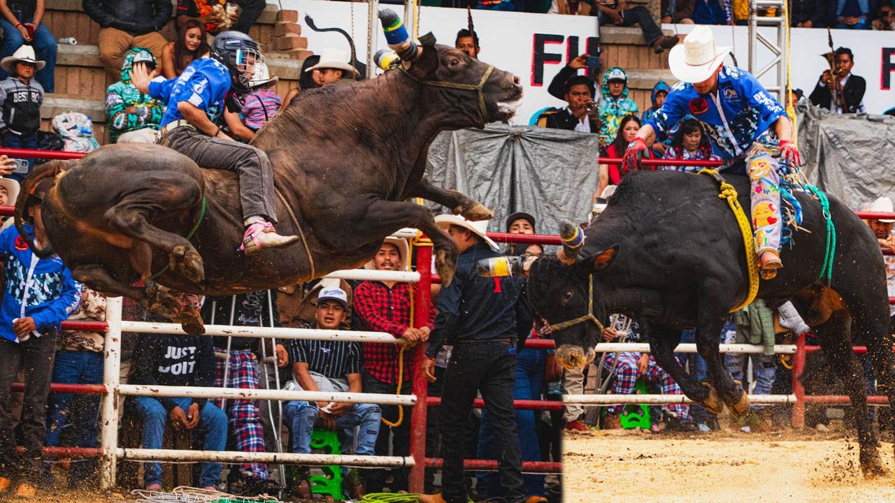 !!TOROS DE RANCHO EL CORTIJO VS JINETES LOBOS DE MICHOACAN!! JARIPEO EN ...