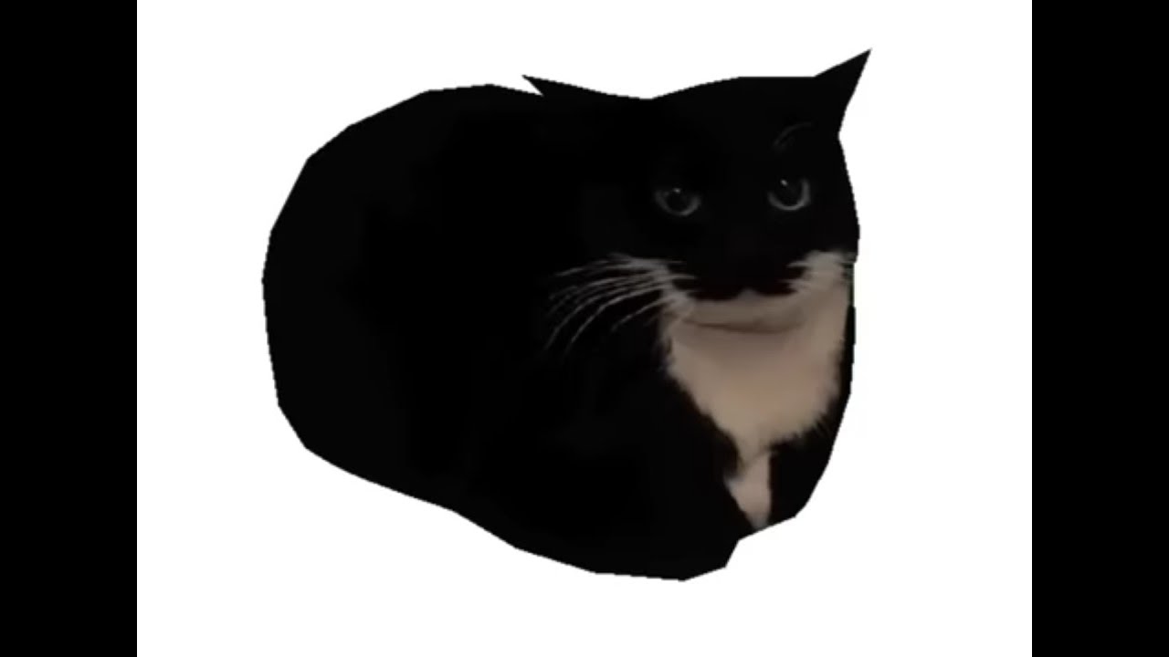 The funky russian train Maxwell the cat 10 minutes - YouTube