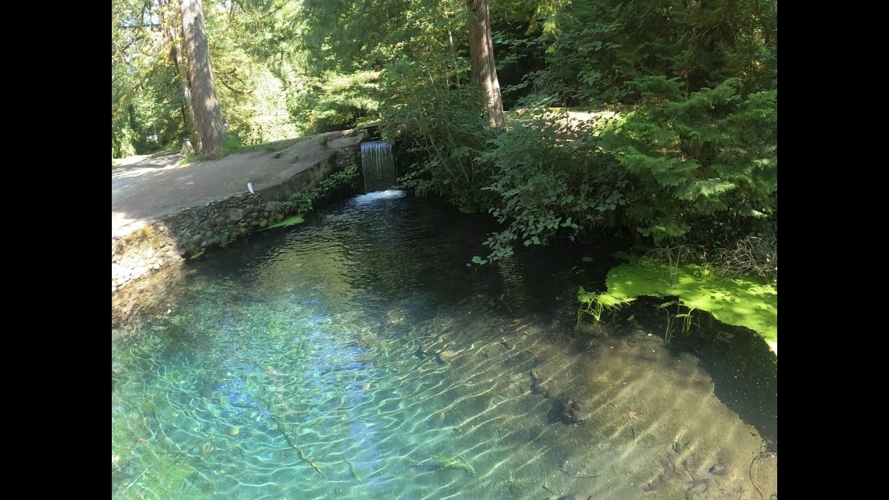 Beautiful crystal clear spring water - YouTube
