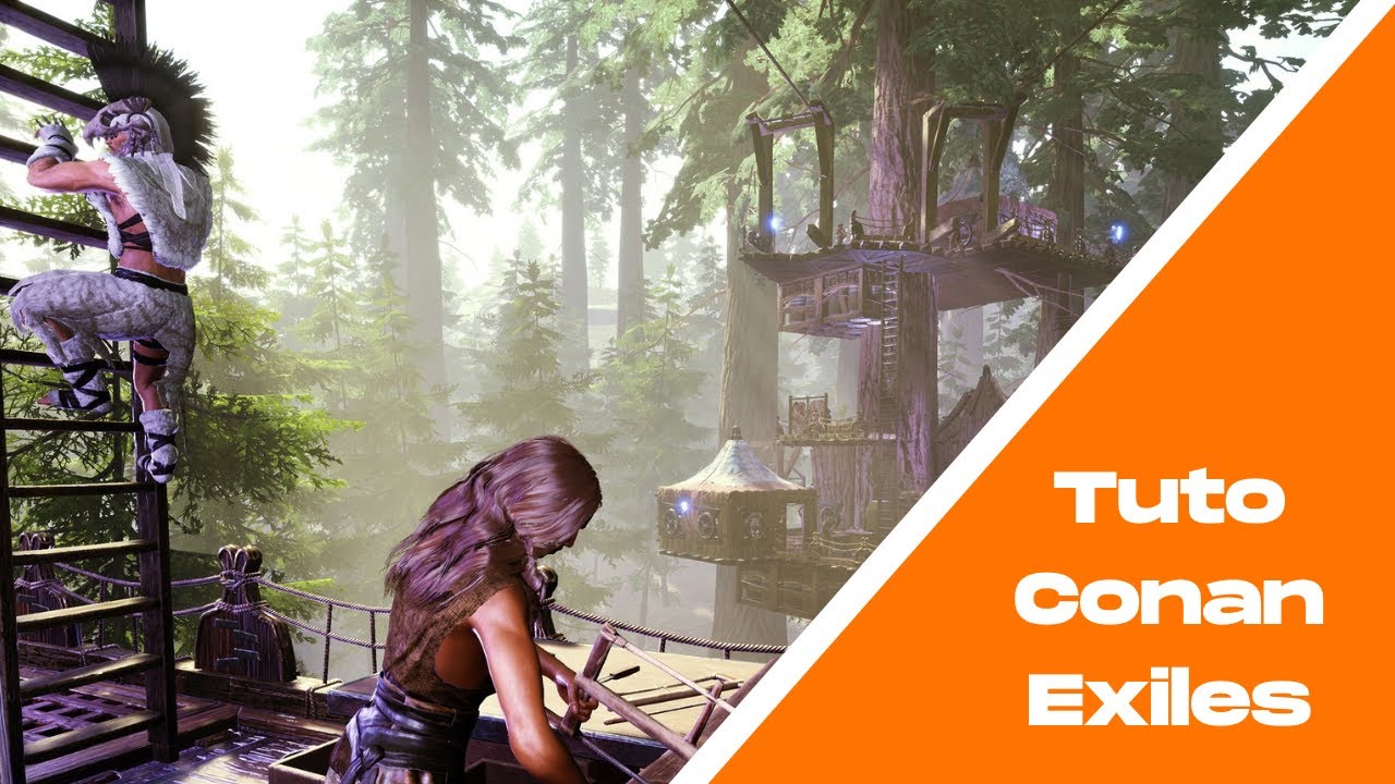Tuto Conan Exiles – Les esclaves : statistiques, chances de croissance ...