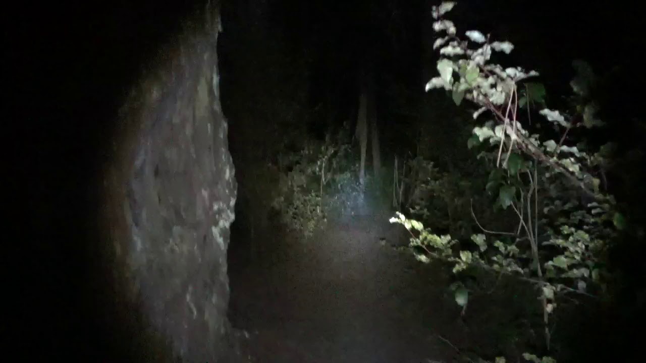 Trail walk at night (extended version) - YouTube
