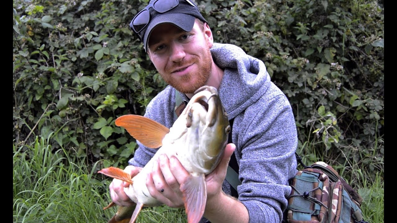 Huge GRUBS For Huge Creek Fish! - YouTube