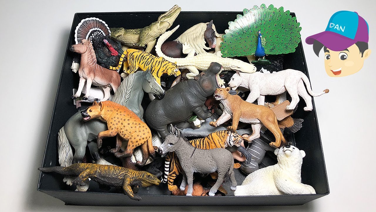 BOX OF WILD ANIMAL - Lion, Tiger, Snow Leopard, Hyena - YouTube