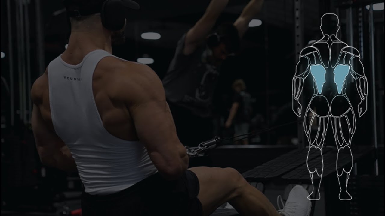 Close Grip Seated Cable Row - YouTube