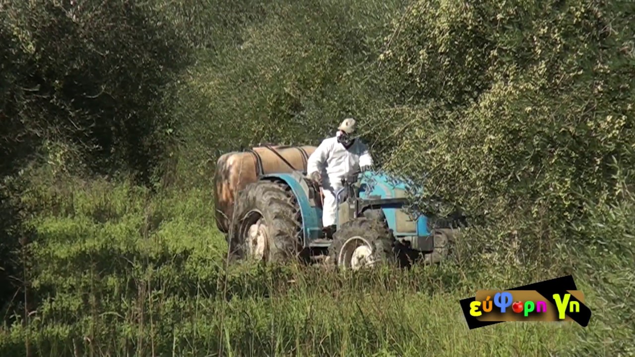 ΕΥΦΟΡΗ ΓΗ - ΕΚΠΟΜΠΗ Νο 49 Επιστήμονες προτείνουν για το δάκο και τους ...