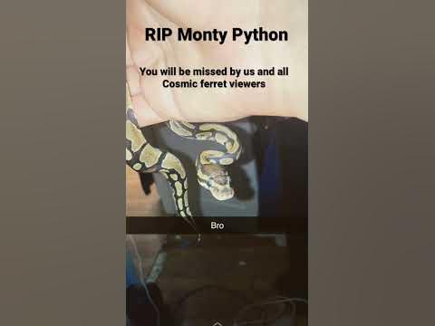 RIP Monty Python - YouTube