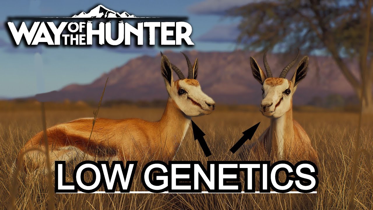 Everything has LOW genetics!! | Way of the hunter - YouTube