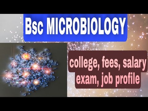 Bsc Microbiology course details in hindi|best course after 12 th ...