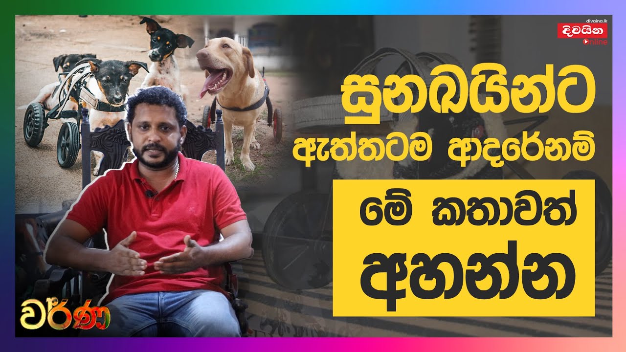 සුනඛයින්ට ඇත්තටම ආදරේ නම් අහන්න | Kennelsri Bionic Pets by Don Sony Sanath the doggy designer ...