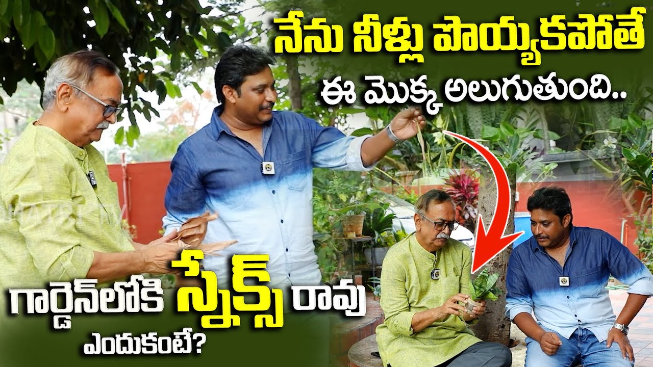 నేను నీళ్లు పొయ్యకపోతే ఈ మొక్క అలుగుతుంది..| CVL Narasimha Rao | Dhatri ...