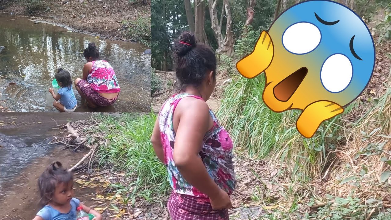 🚨🚨ASÍ ES CÓMO LUCHA LA COLOCHA DIA TRAS DIA 😱😱😱 - YouTube