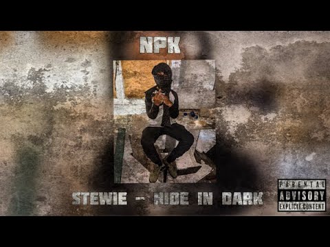 #NPK Stewie - Hide In Dark (Official Audio)