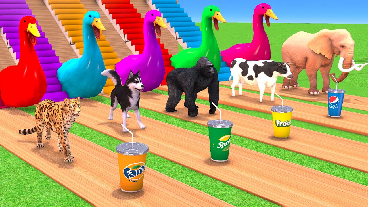 Elephants vs Tiger vs Duck Cartoon vs Gorilla vs Dog Escape Room ...