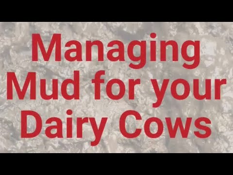 Tip of the Month on Managing Mud - YouTube