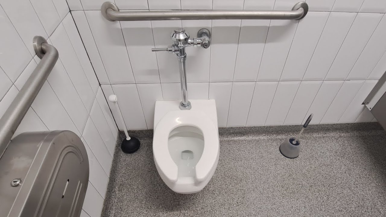 1078: The Waterguard Survives! Kohler Toilet at Meijer 🚹 - YouTube