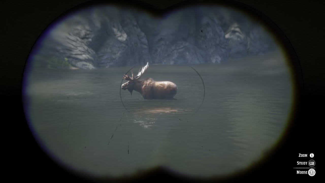 Incredible AI Wolf Chasing Moose Across Lake - Red Dead Redemption 2 ...