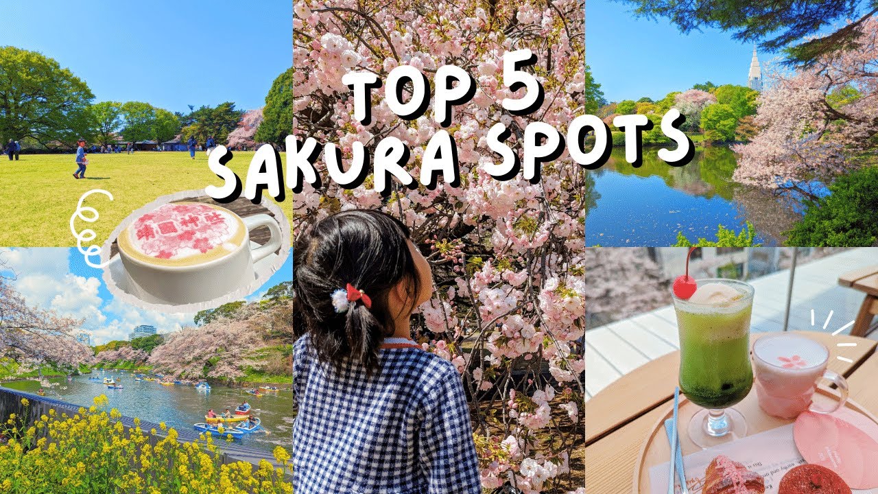 Most famous sakura 🌸 spots in central Tokyo you cannot miss! - YouTube