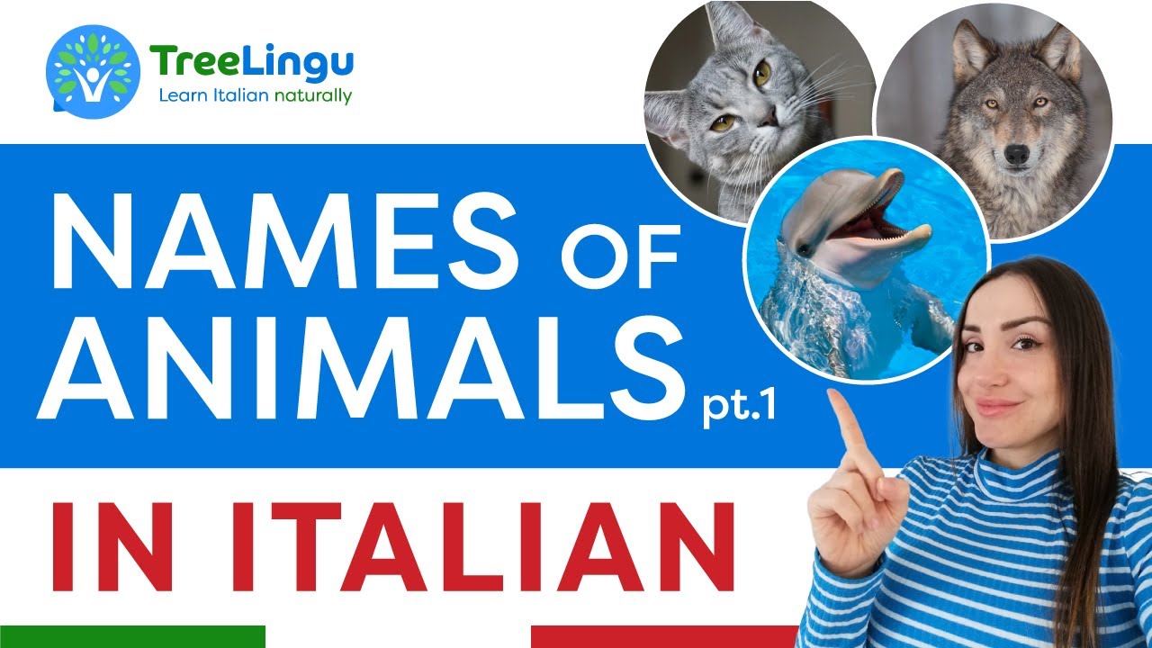 Italian animal vocabulary pt.1 - Impara con Treelingu 🇮🇹 | Learn ...