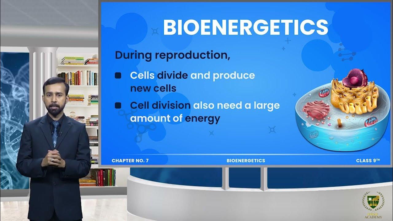 Introduction & Role of ATP in bioenergetics || CHP 7 || 9TH BIOLOGY EM || LECTURE 1 || - YouTube