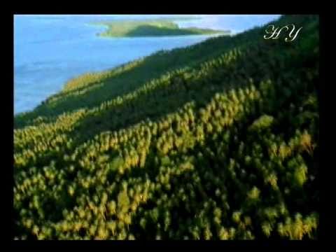 QURAN MÖCÜZELERİ   4   2