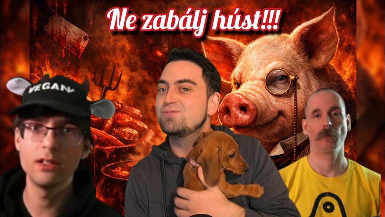 A disznó egy TUDATOS lény | A hús evés főbenjáró bűn!!? - YouTube