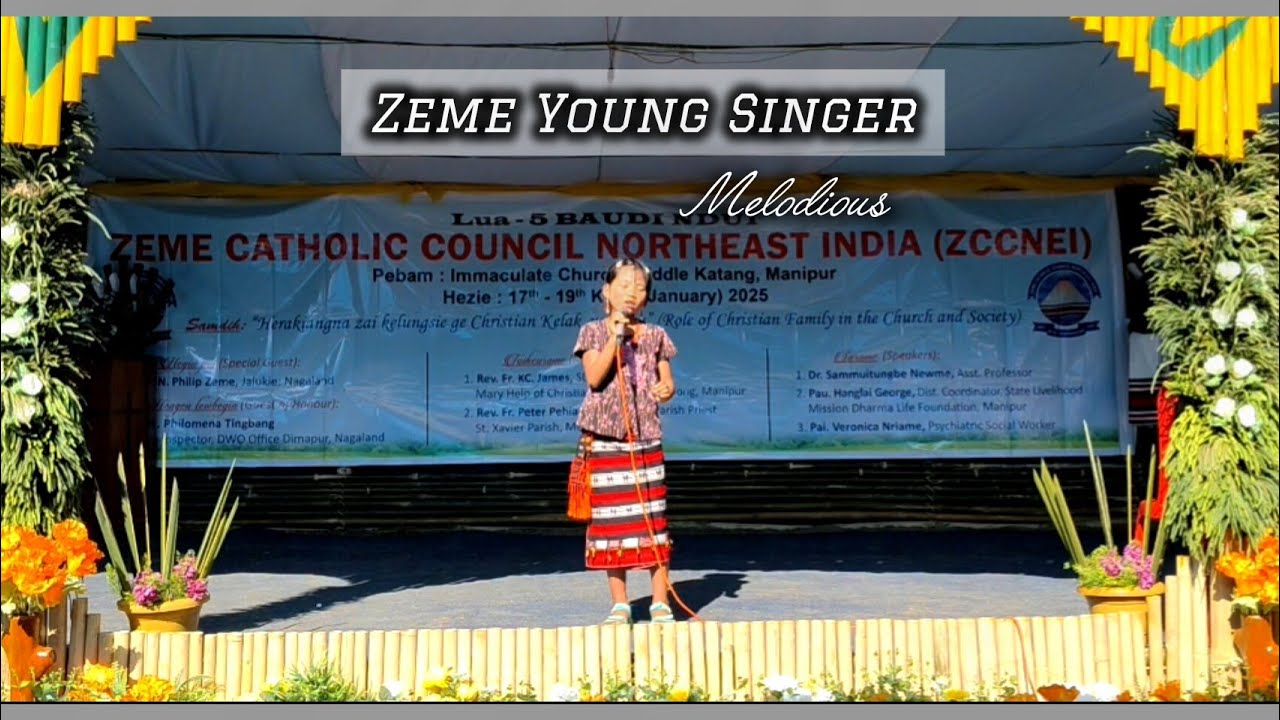 Zeme Young Singer ll Heratayile Pame ll #zeme #song #melody - YouTube