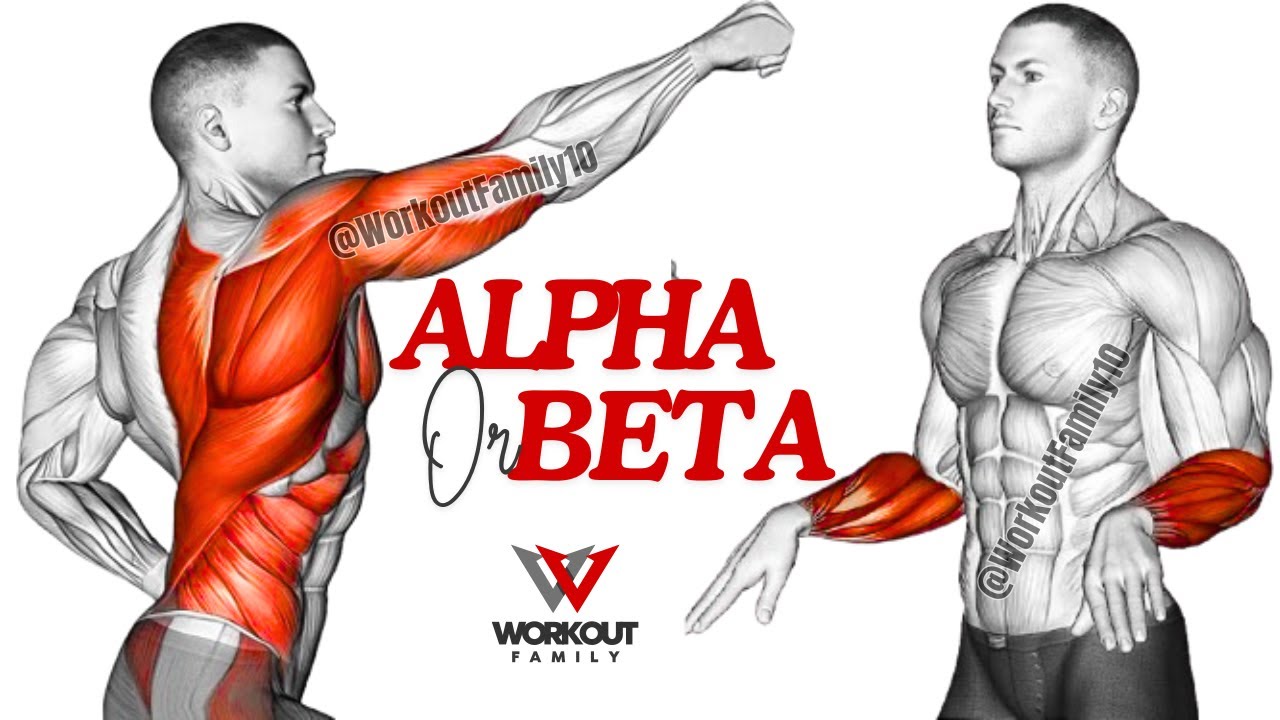 10 Best Exercises to Make You Alpha Male | Workout to Boost ...