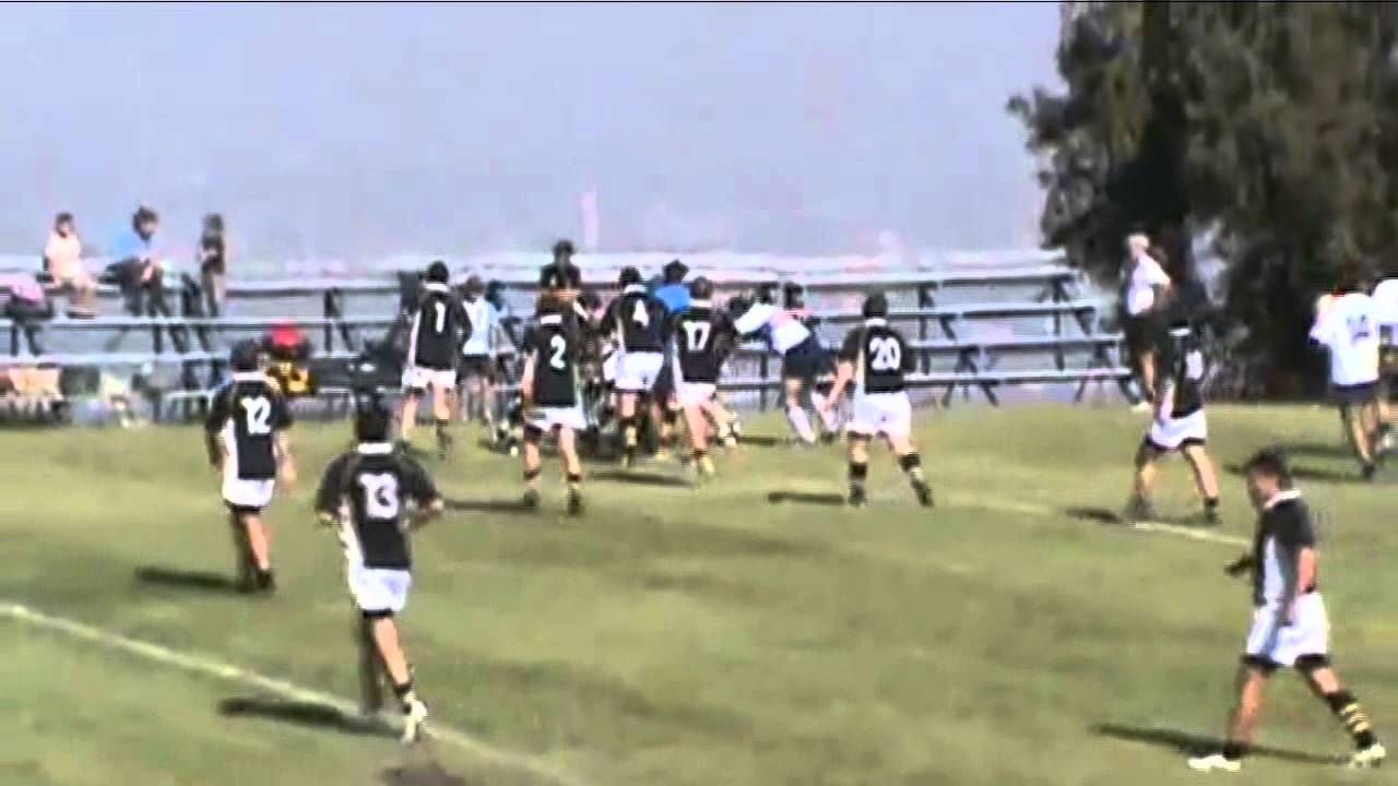 vamos pato video - YouTube