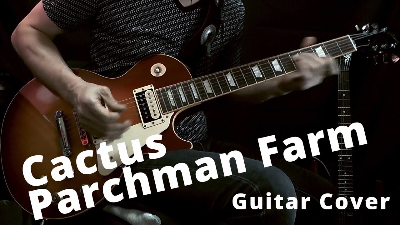 Cactus / Parchman Farm Guitar Cover - YouTube