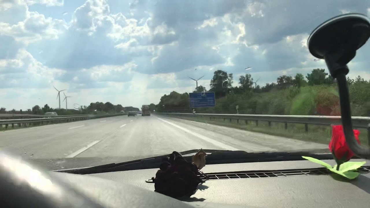 One day Sinjary 🧤يوميات واحد سنجاري - YouTube