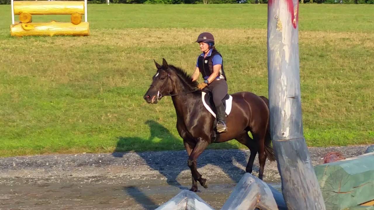 Izzy xc schooling at Loch Moy. - YouTube