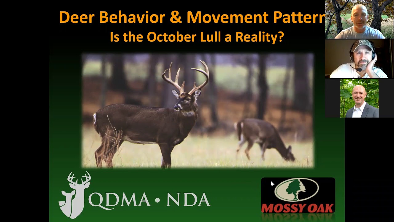 QDMA Beer & Deer Webinar - Deer Behavior and Movement Patterns: Is the ...