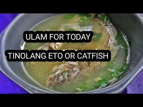 CATFISH / HETO / ETO - YouTube