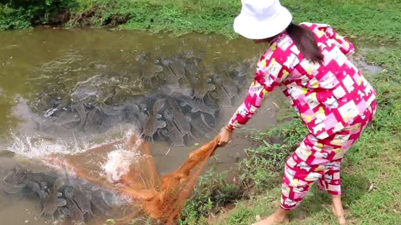 Fishing Using Fishing Net For Daily Food | Cooking and Eating - YouTube
