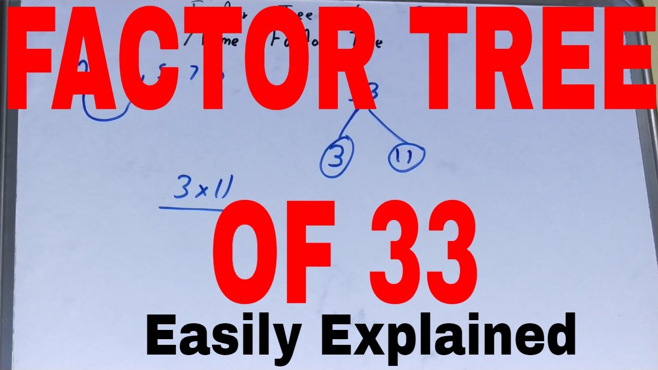 Factor Tree Of 33 How To Draw Factor Tree Of 33 Find Factor Tree Of 33