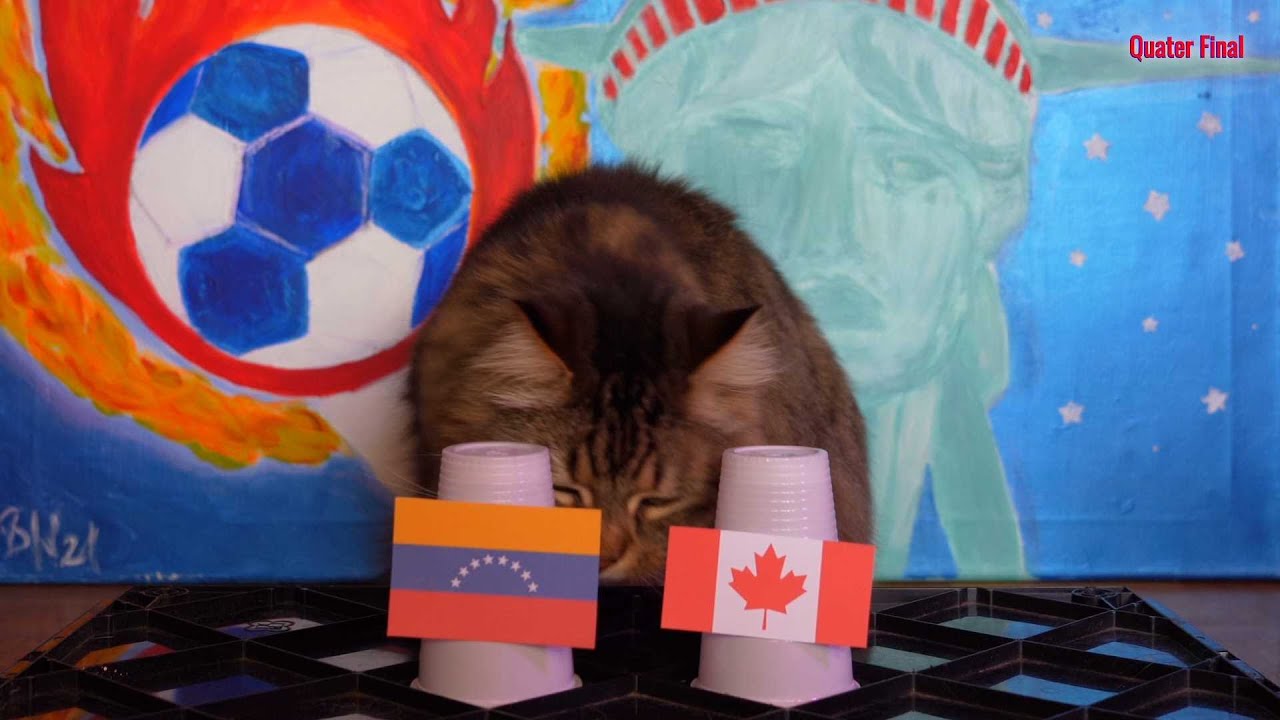 Venezuela Vs Canada - Cats Copa América 2024 Prediction - YouTube