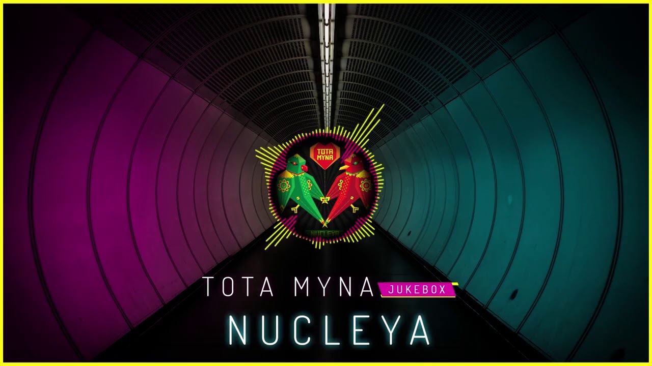 Nucleya Tota Myna Album Audio Jukebox - YouTube