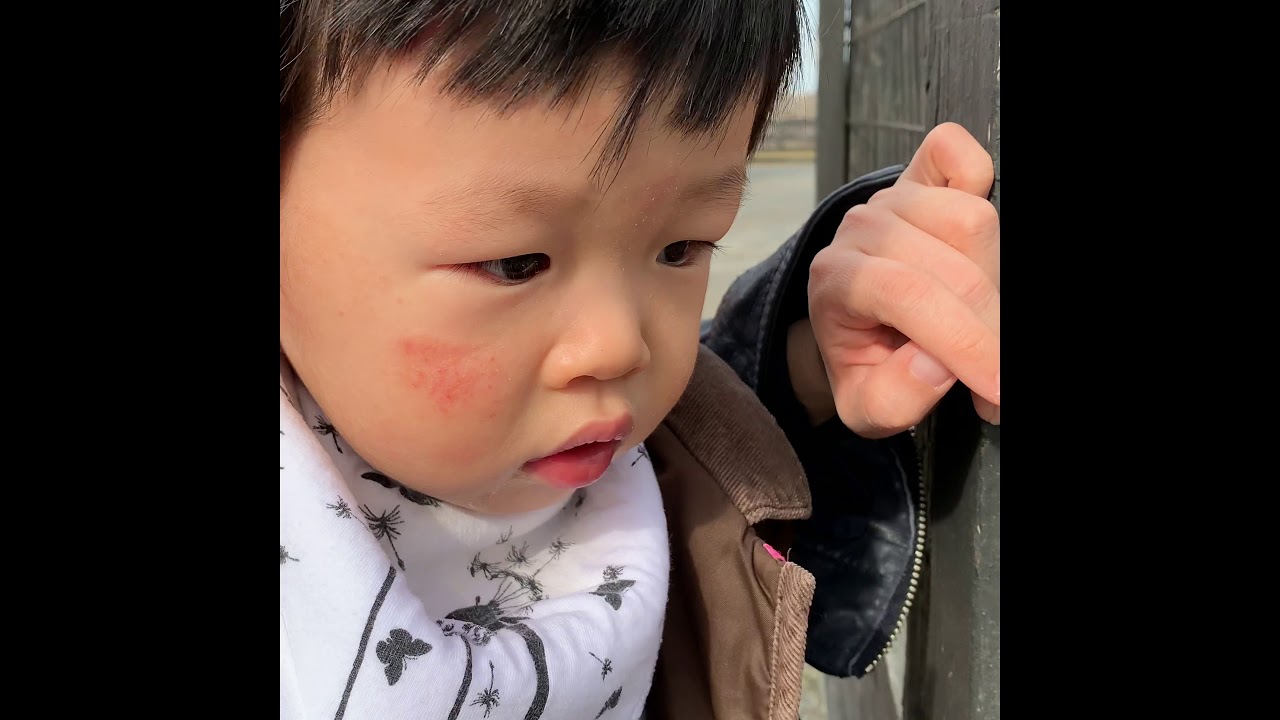 Aiden Visits Frying Pan Farm Park - YouTube