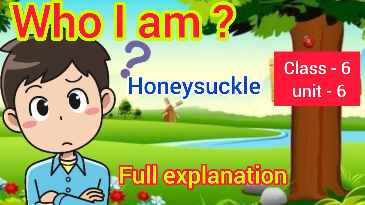 Who I Am Class 6 English Class 6 Ncert English Chapter 6 Who I Am who-i-am-class-6-english-class-6-ncert-english-chapter-6-who-i-am