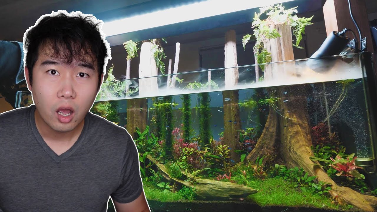 Fish Keeper STUNNED by @JunsKitchen Aquascape - YouTube