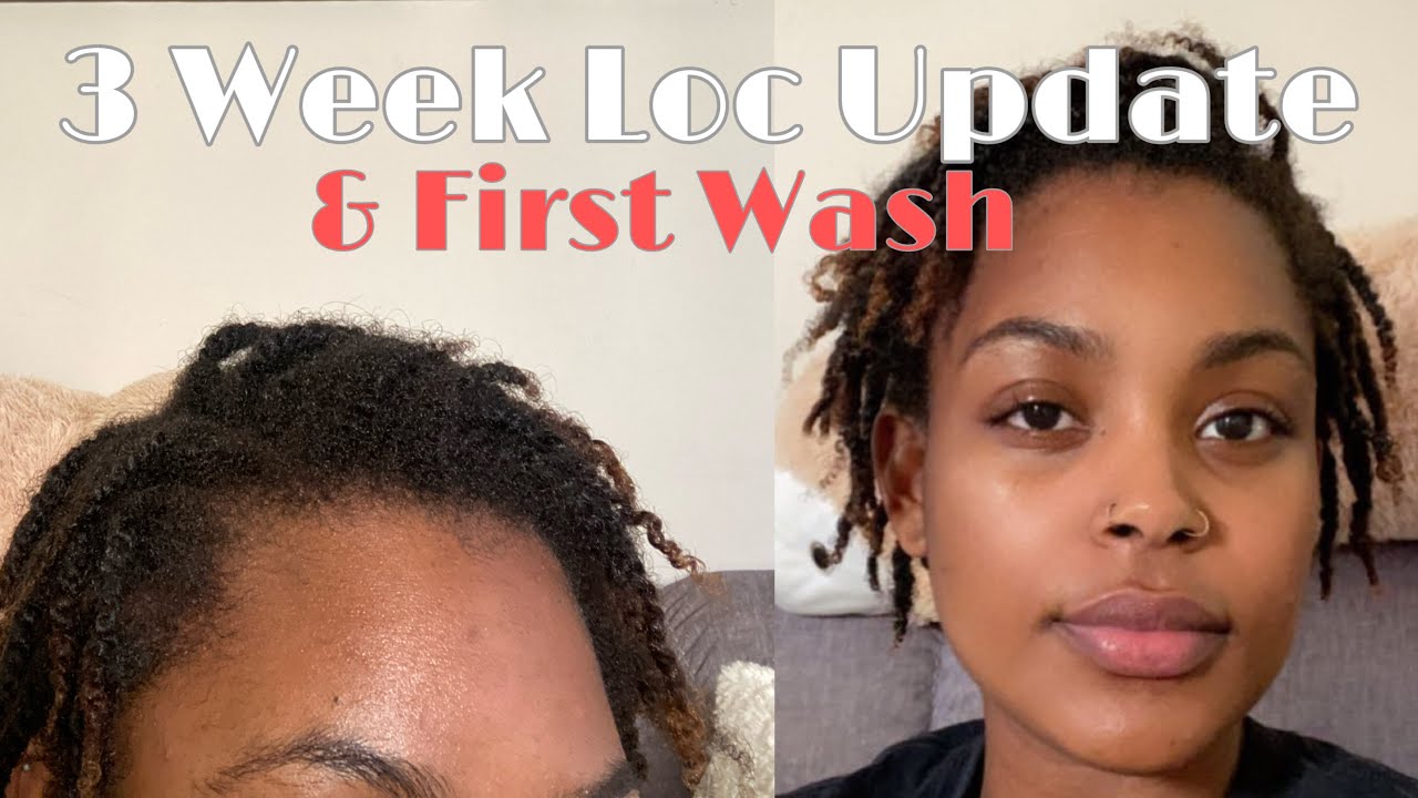 3 Week Starter Locs Update + First Wash | Two Strand Twist Starter locs ...