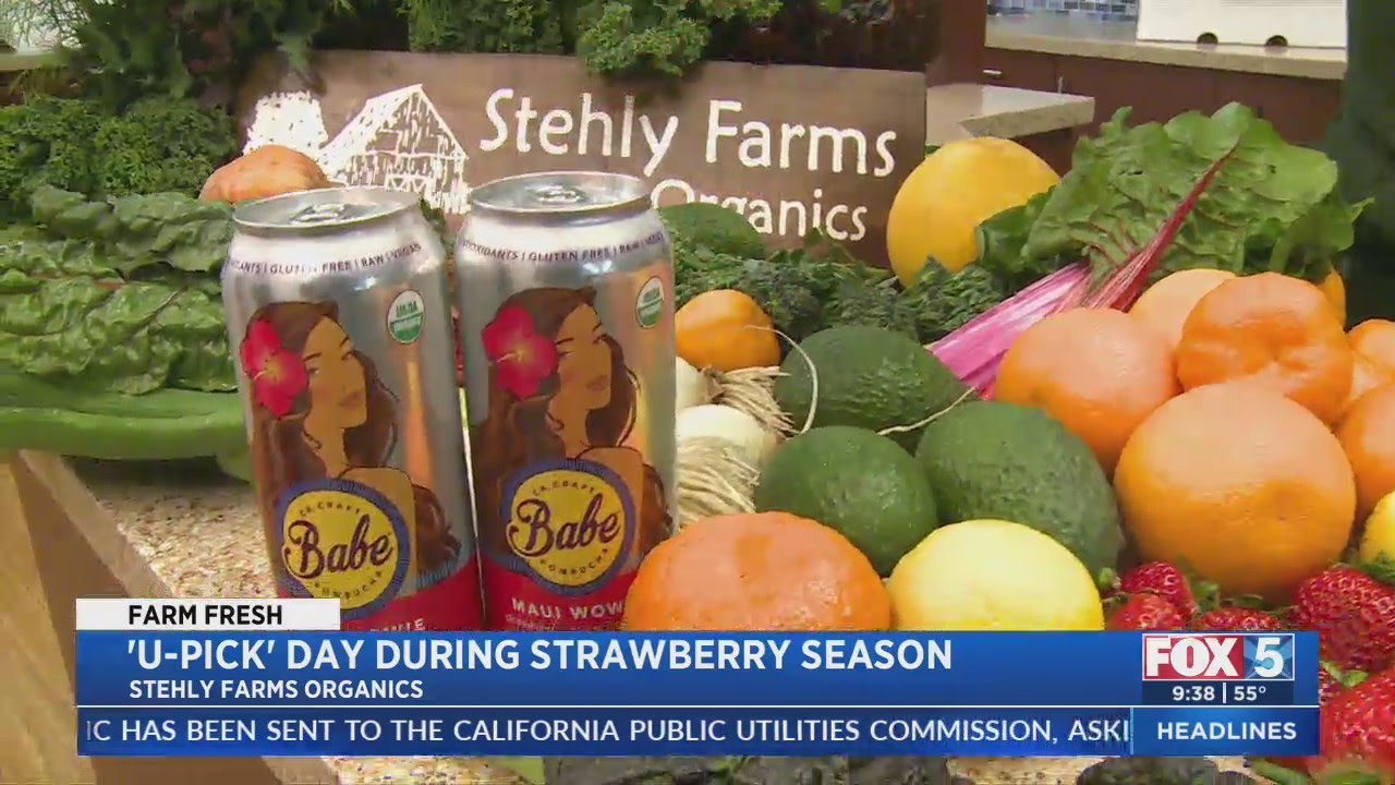 'U-Pick" Day at Stehly Farms - YouTube
