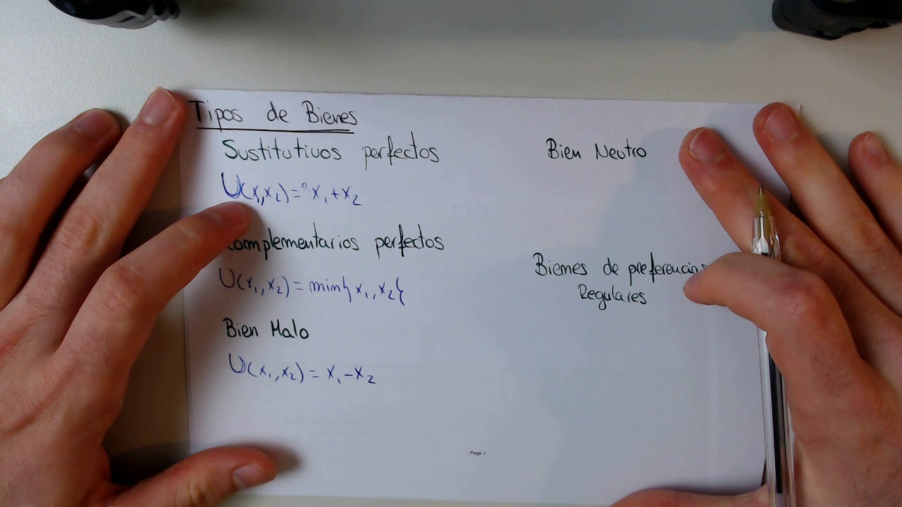 TIPO DE BIENES | SUSTITUTIVOS PERFECTOS | COMPLEMENTARIOS | BIEN MALO ...