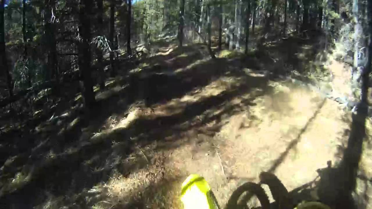 Fallen Timber Feb 21 - YouTube