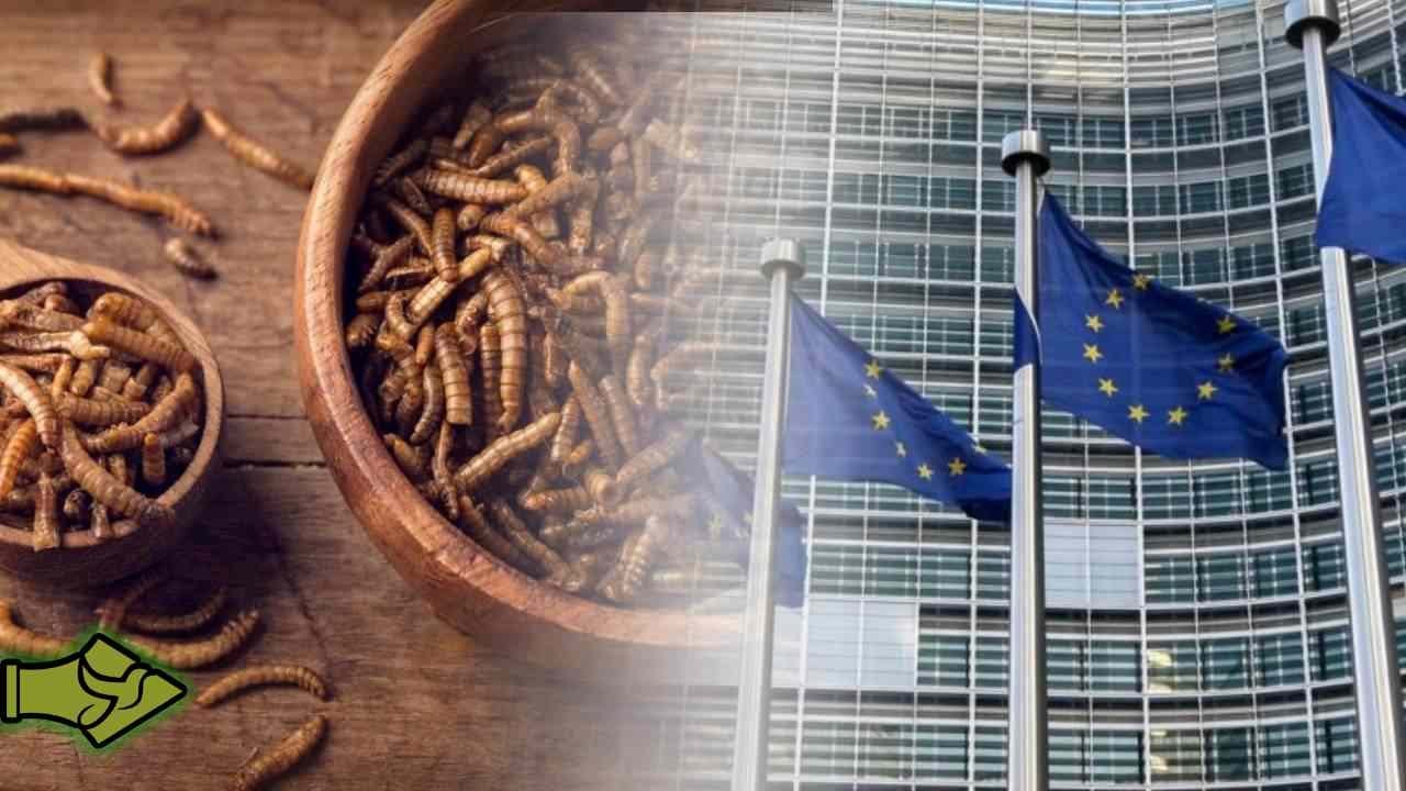 "ΠΡΑΣΙΝΟ ΦΩΣ" ΓΙΑ ΝΕΑ ΠΡΟΪΟΝΤΑ ΕΝΤΟΜΩΝ ΑΠΟ ΤΗΝ ΕΥΡΩΠΑΪΚΗ ΕΠΙΤΡΟΠΗ - YouTube