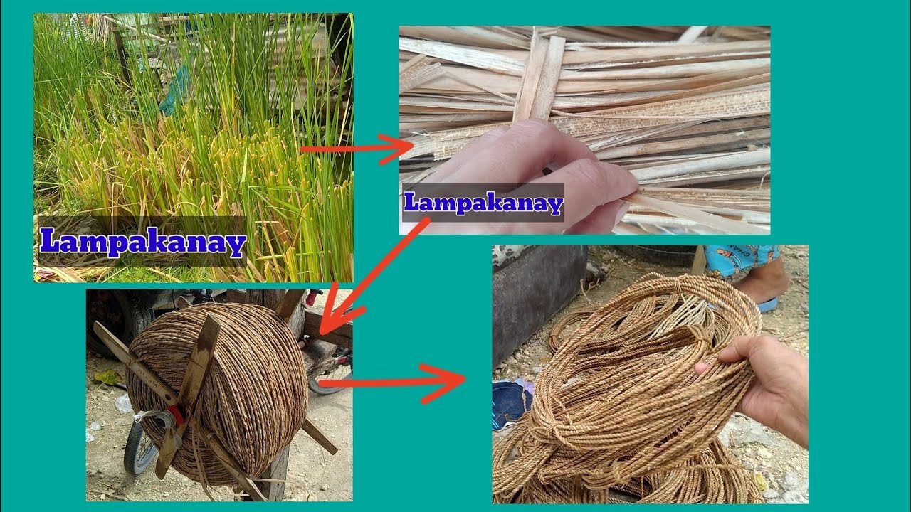 Lampakanay || Pangunahing Kabuhayan dito sa lugar namin - YouTube