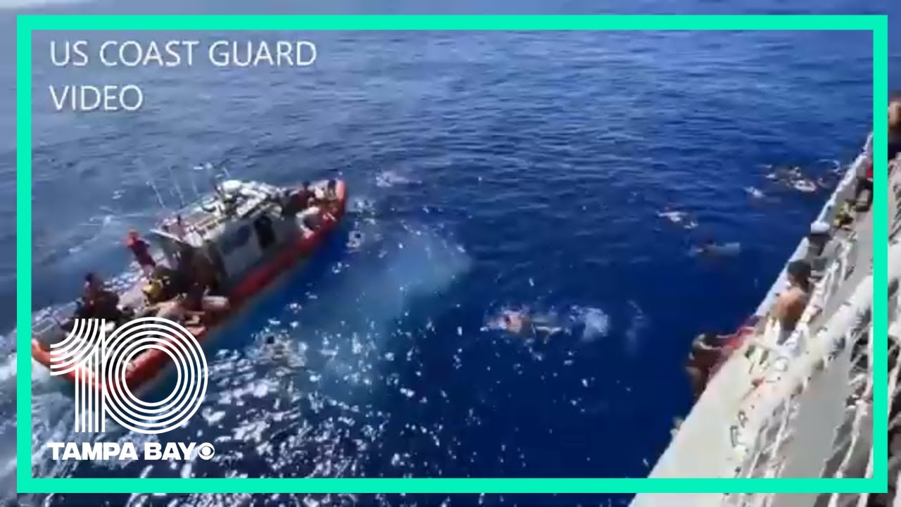Shark shot at as it approaches U.S. Coast Guard members swimming in ...