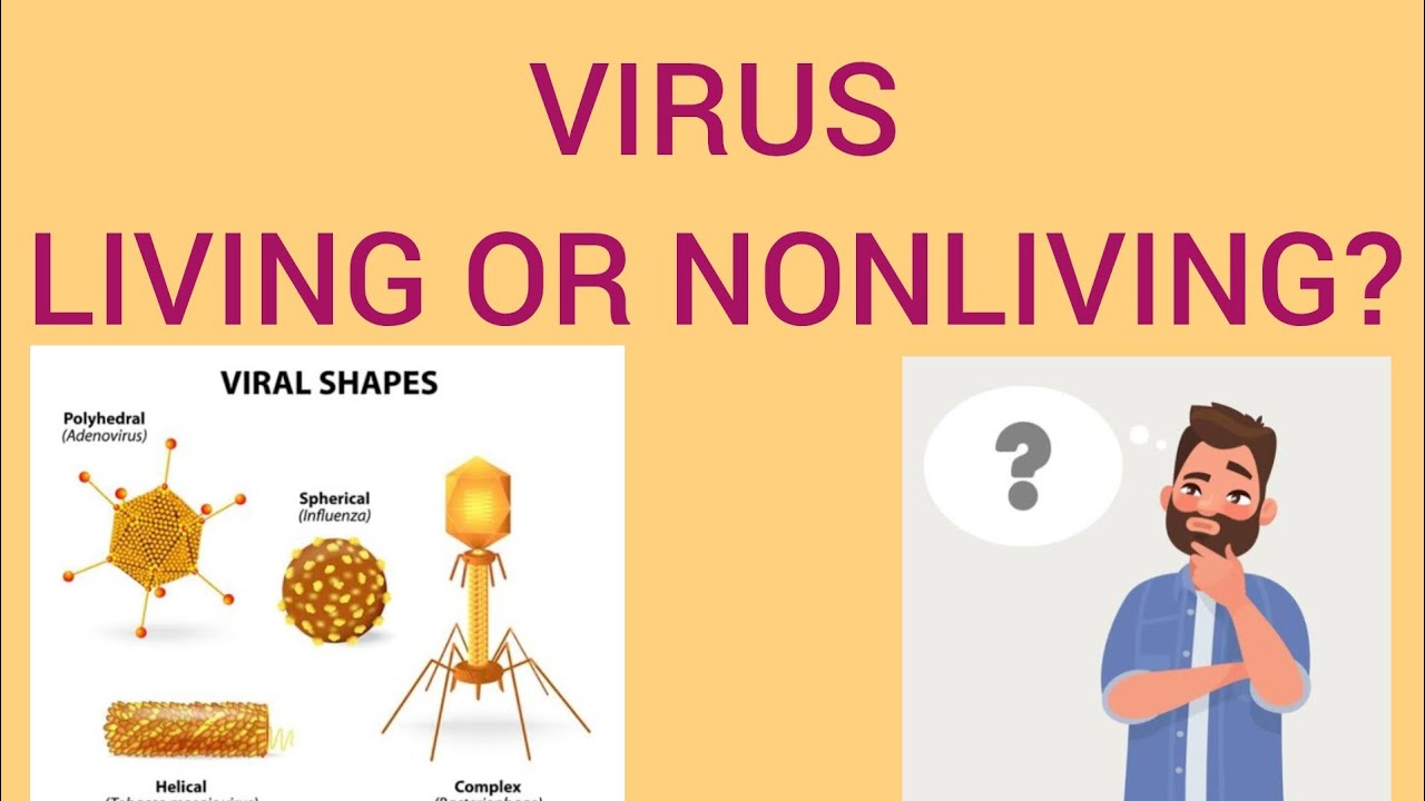 Introduction To Viruses(LEC#01) Living And Nonliving Characters Of ...