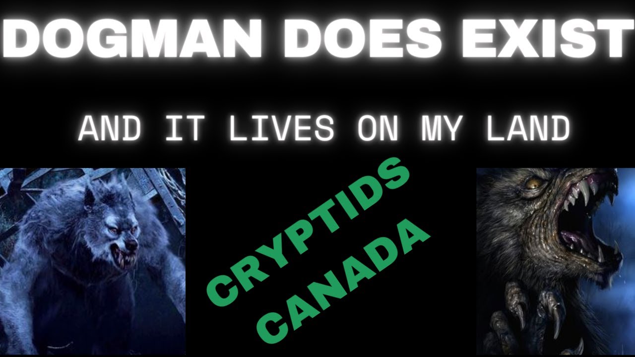 C C EPISODE 437 DOGMAN DOES EXIST - And lives on my land - YouTube