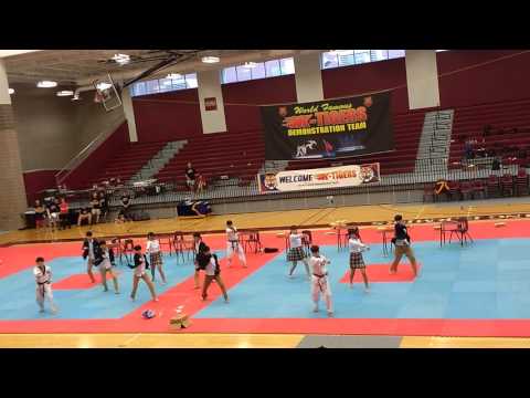 Taekwondo...against the bullying..by K-Tigers